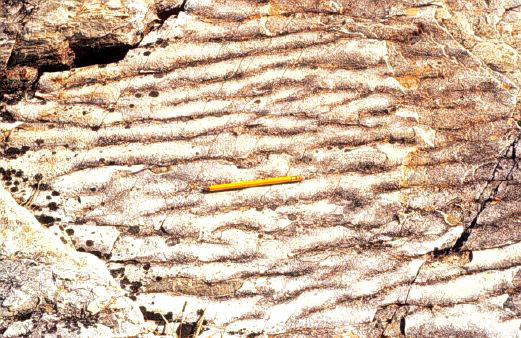 Perlapisan Batuan Sedimen (Bedding Structure) - Guru Geografi