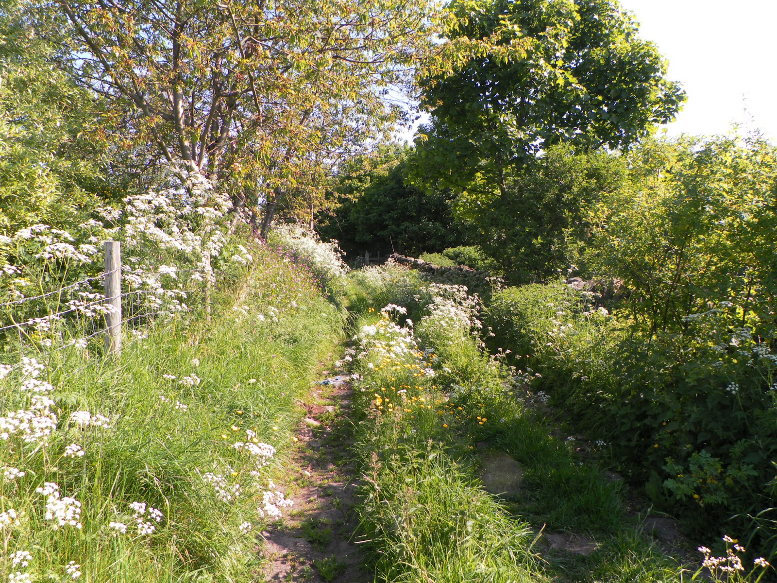 Oats Royd Nature Reserve – Halifax Scientific Society