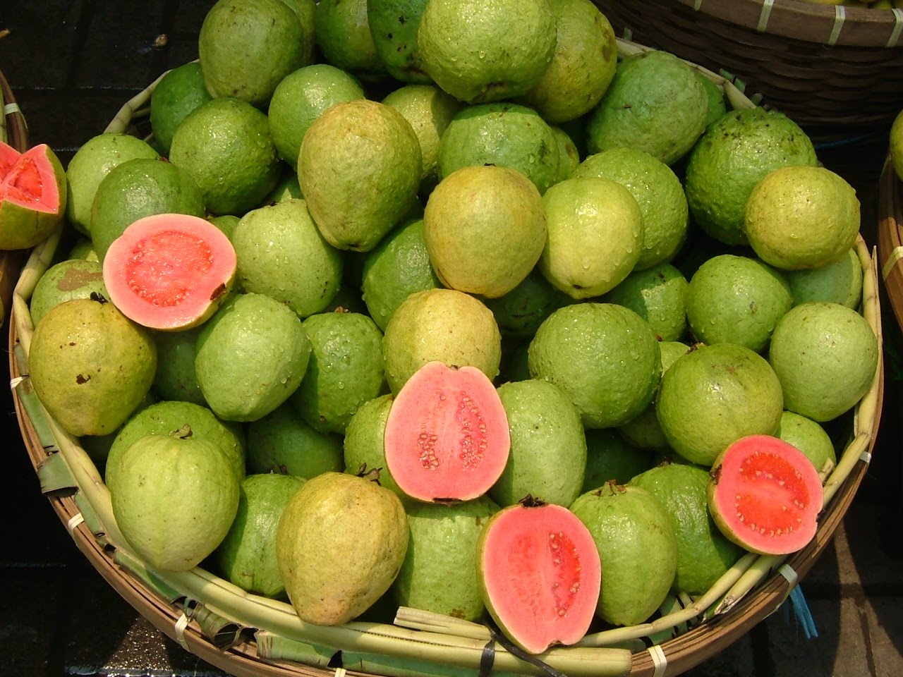 Goiaba - Psidium guajava | Natureza Bela