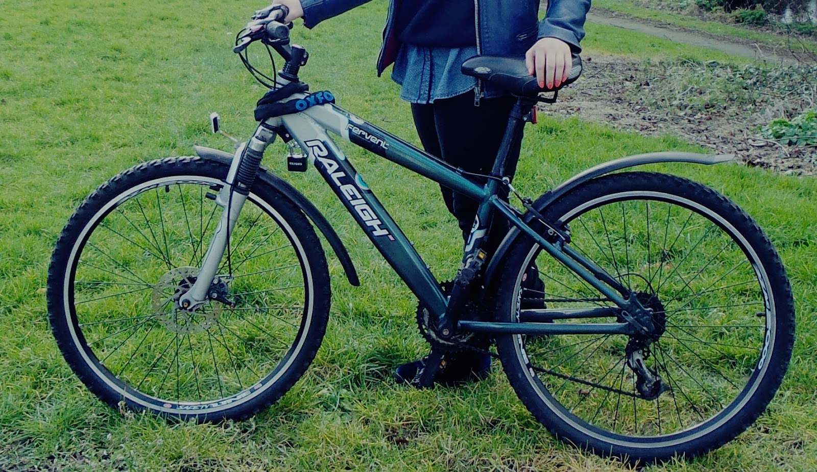 Ireland's Premier Online Bicycle Register: Stolen Bicycle - Raleigh Fervent
