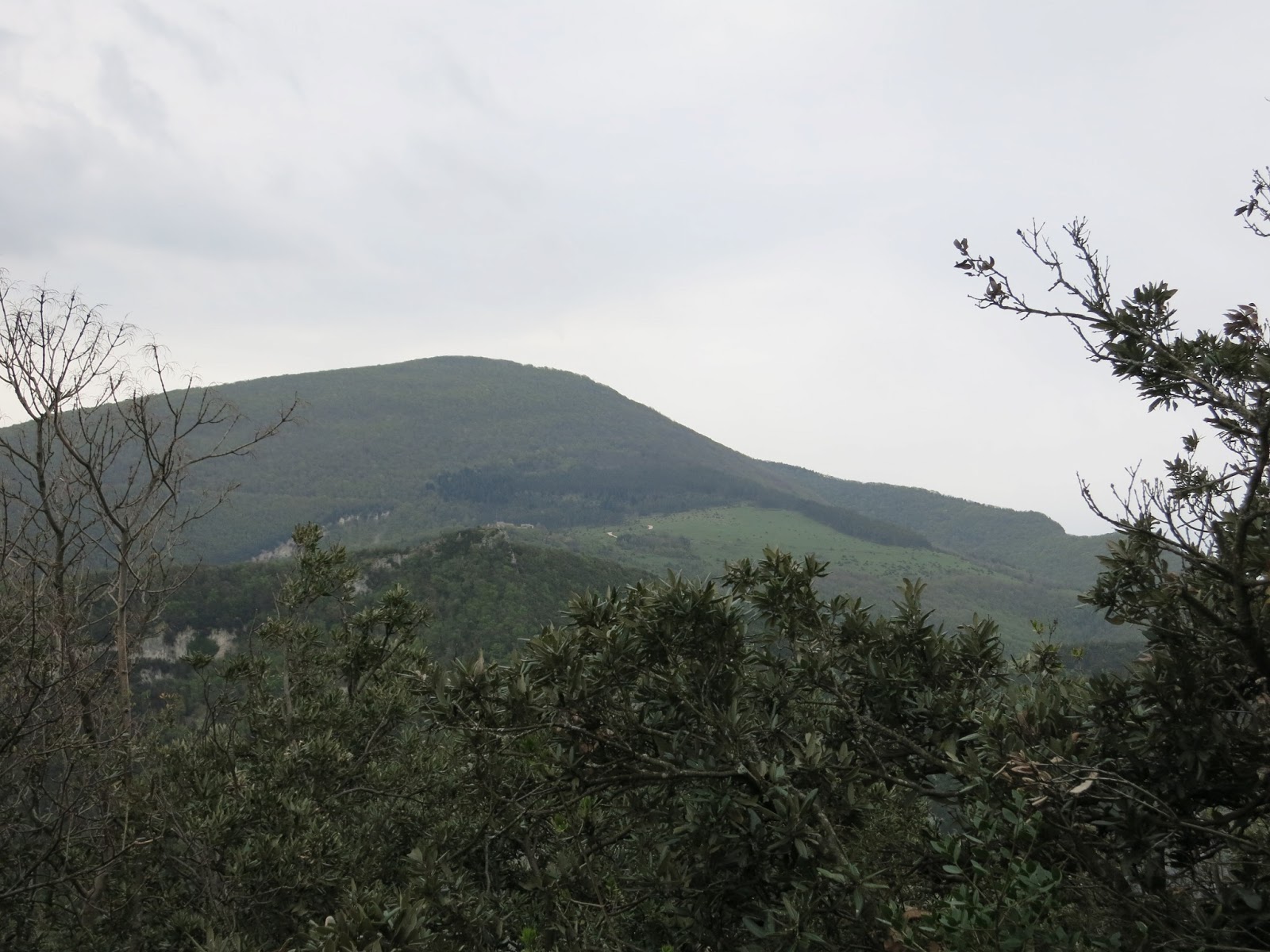 Itineris Mei: Monte Pietralata - Ascesa alla Testa del Duce