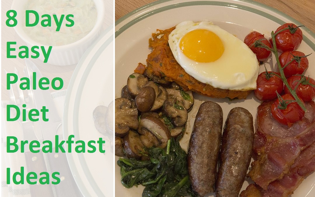 8 Days Easy Paleo Diet Breakfast Ideas - The 3 Week Diet Success: Lose ...