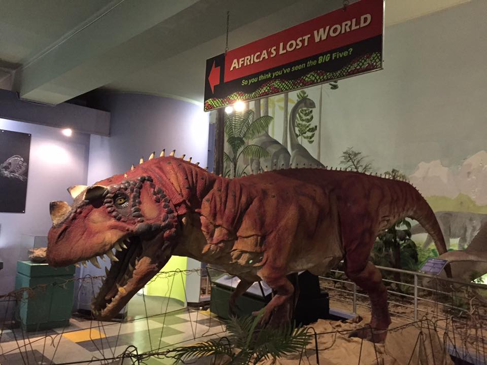 Teaching Adventures in South Africa