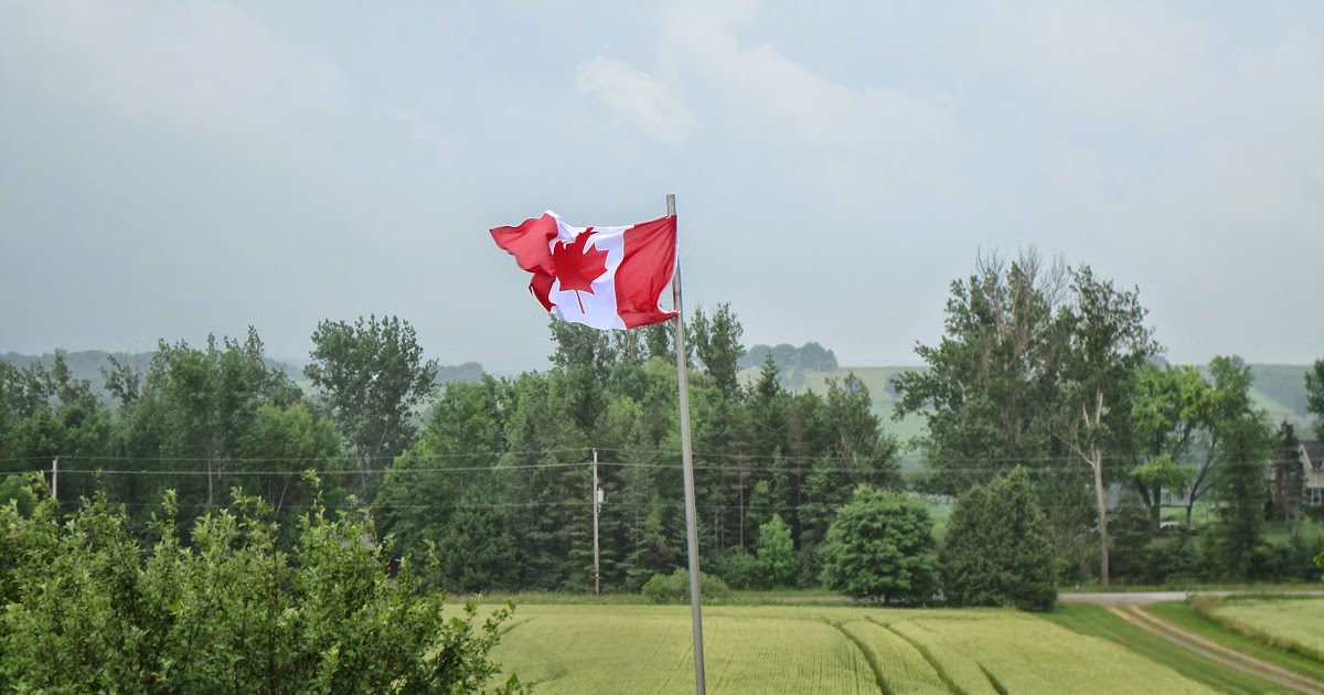 MARFRED ART HEAVENS GATE DAVID THOMPSON