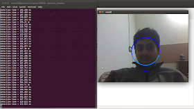 Computer Vision, Robotics and Arduino: Real-time object detection in ...
