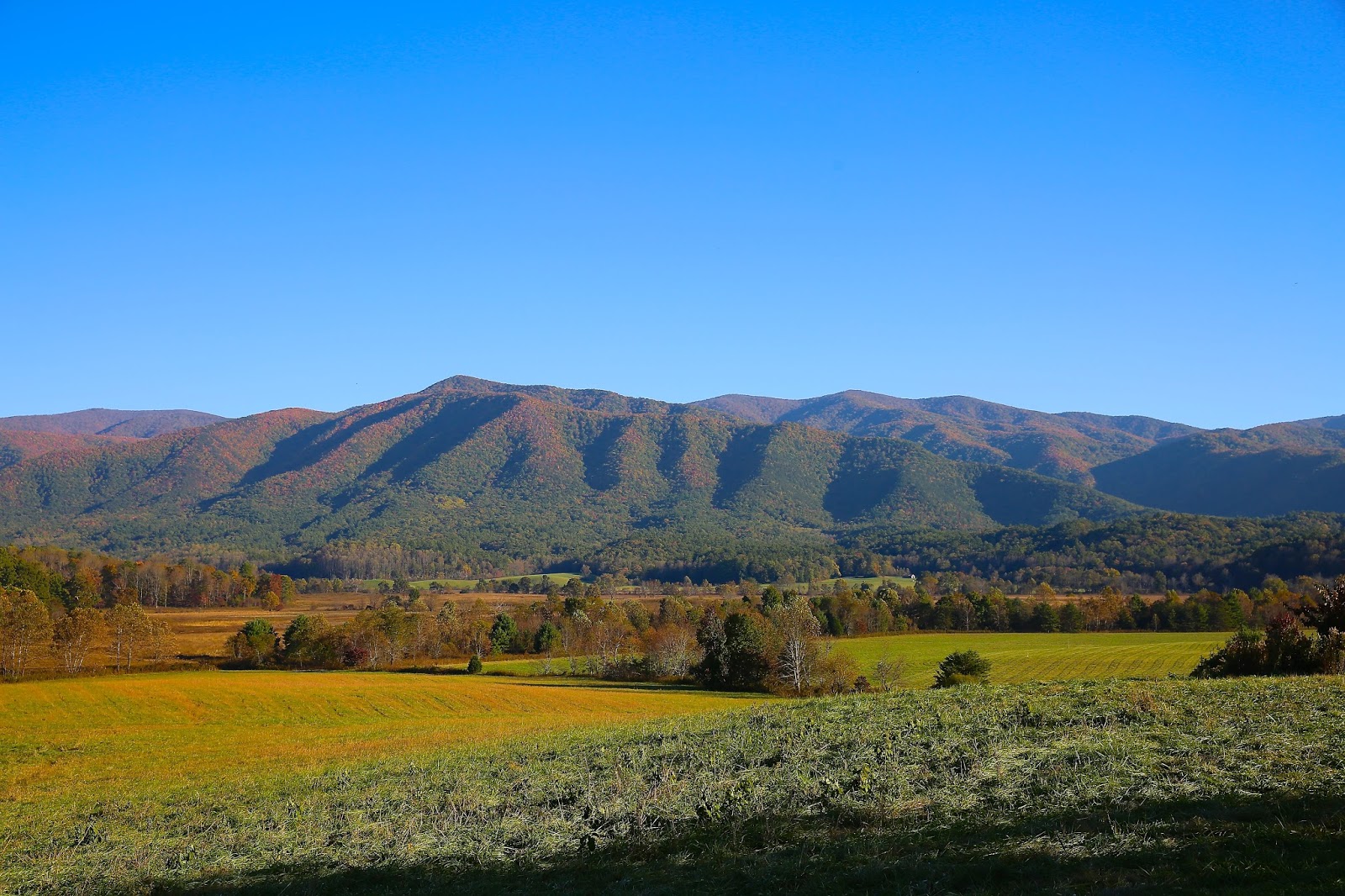 Sweet Southern Days: Parson Branch Road In The Great Smoky Mountains ...