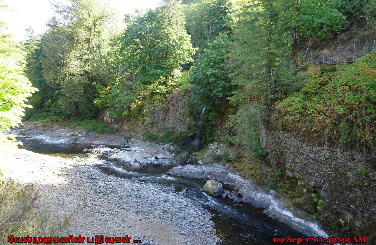 Wilson River Tillamook - Exploring My Life