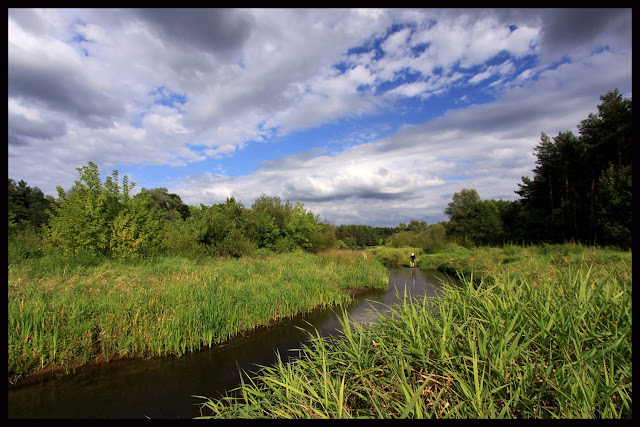 arnika: Na brzegu rzeki... rzeka Warta, Załącze Wielkie | On the bank ...