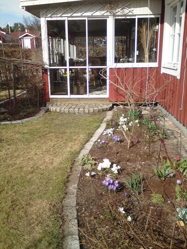 BIKAS TRÄDGÅRD: Rabatter del 5