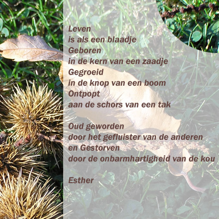 Kies een kaartje: Gedichten Natuur