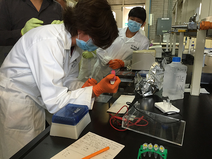 Fotografías del curso Extracción de DNA genómico de insectos y ...