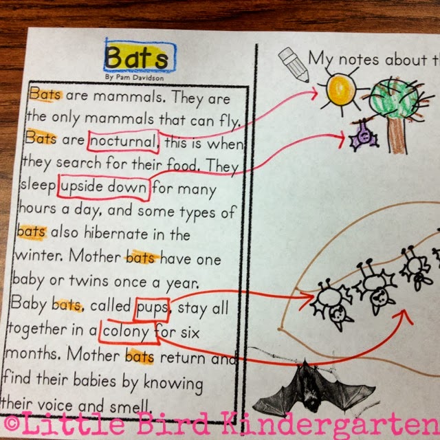 Bits About Bats! - Little Bird Kindergarten