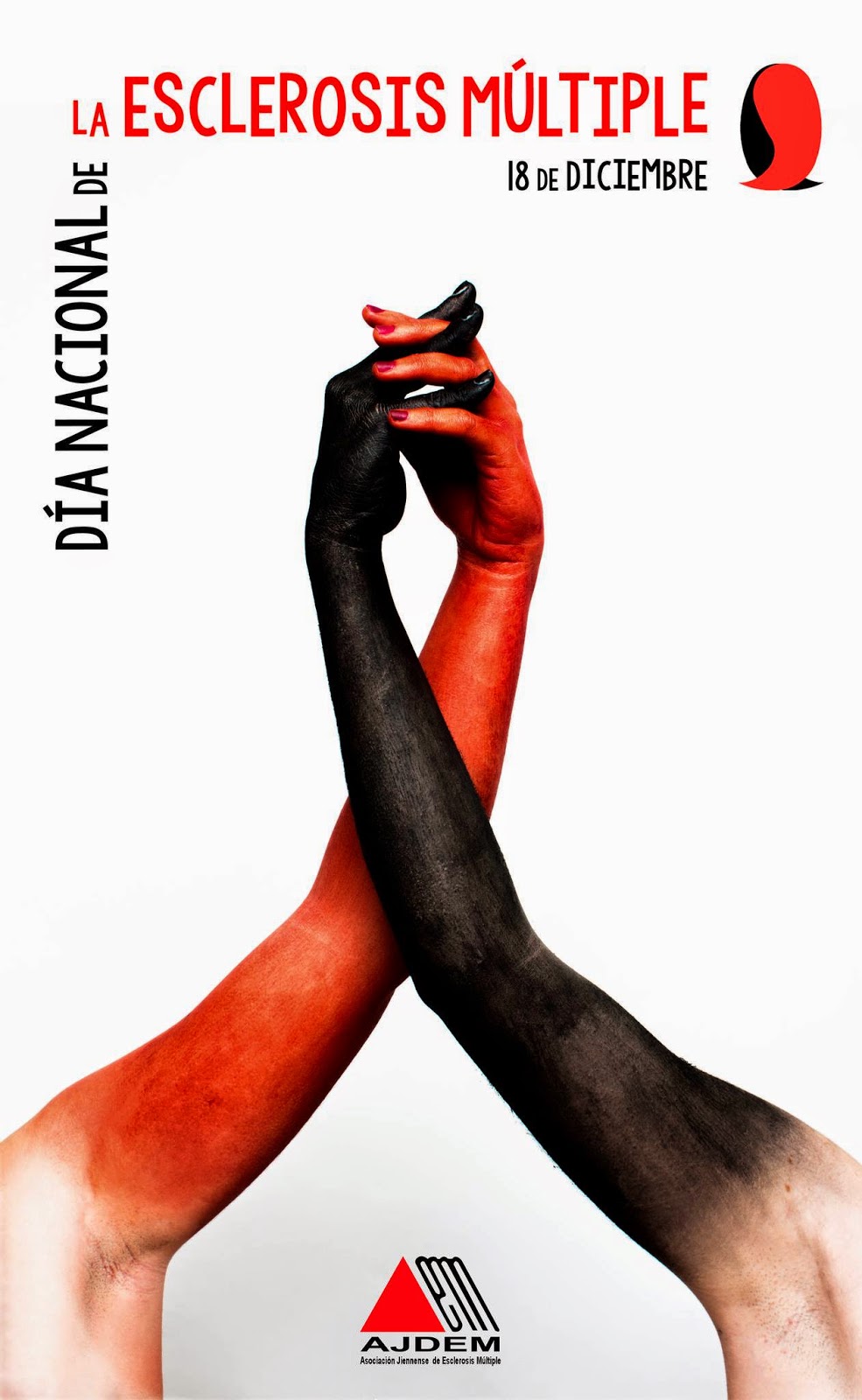 elneuroblogSg: 18 de diciembre: Día Nacional de la Esclerosis Múltiple