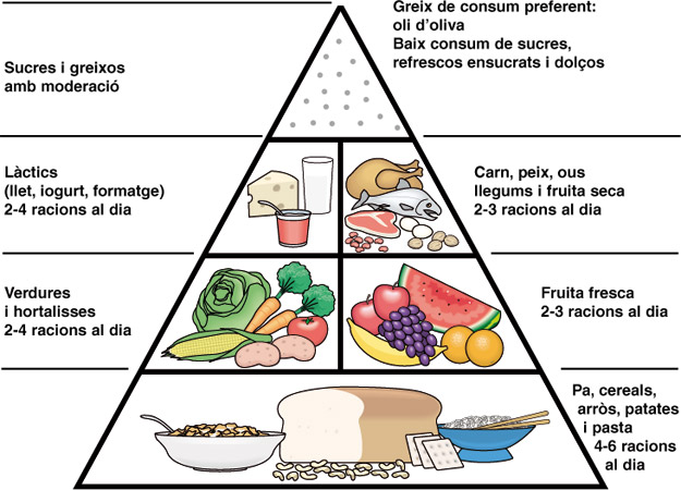 Els aliments i la piràmide: La piràmide del aliments
