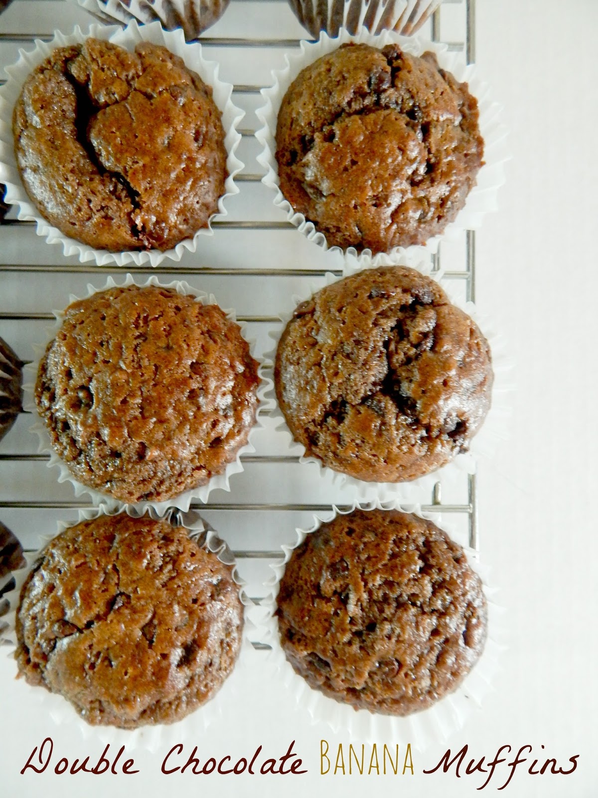 Double Chocolate Banana Muffins | Ally's Sweet & Savory Eats