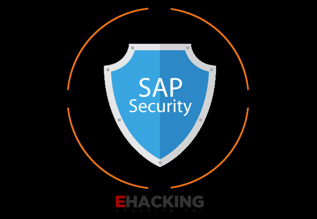 Securing ERP – SAP Security Training Program - The World of IT & Cyber ...