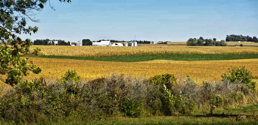 Day-to-Day Photos: Rolling Iowa Farmland