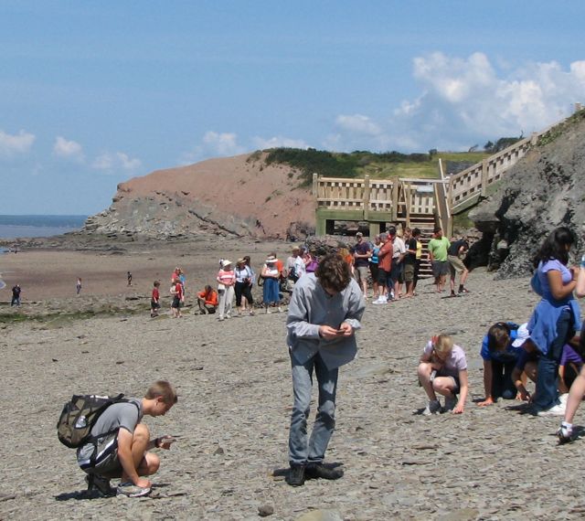 Bay of Fundy: Joggins Fossil Cliffs