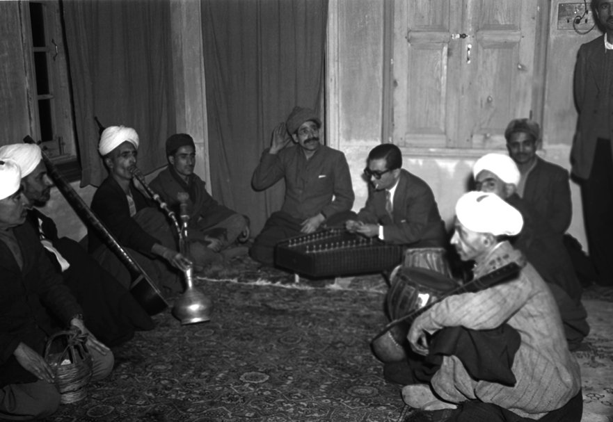 CHINAR SHADE : January 2016