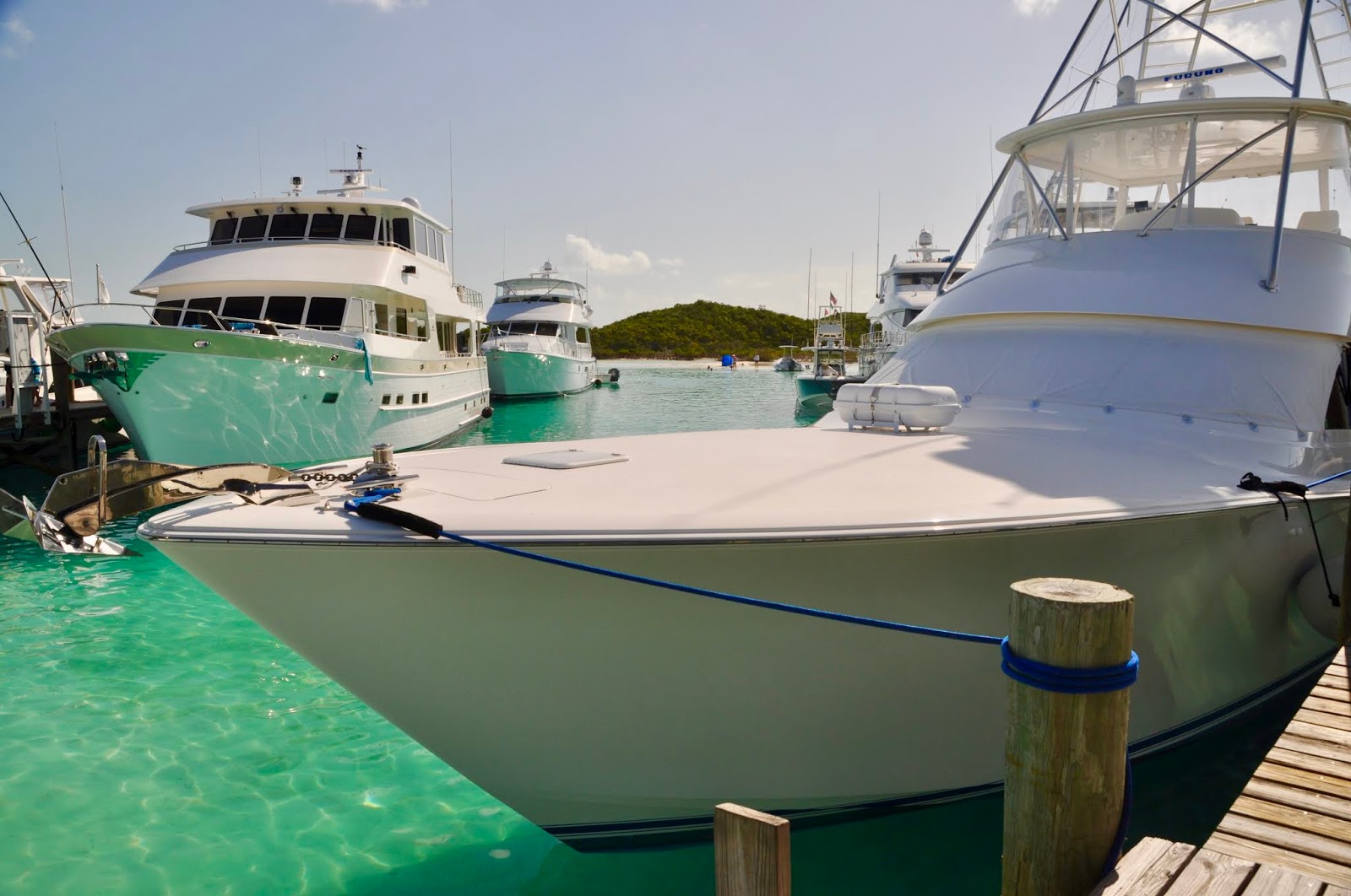 Compass Cay: Exumas Enigma