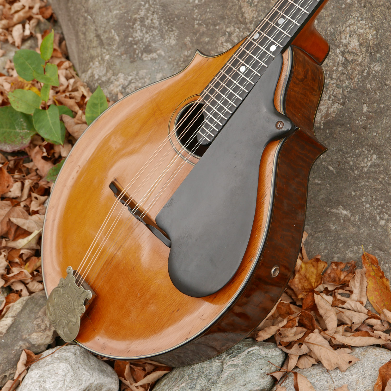 1920s Lyon & Healy Style A Carved-Top Mandola