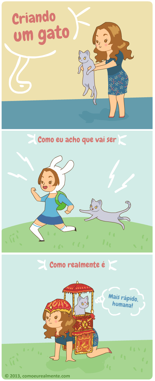 Criando Um Gato Como Eu Realmente