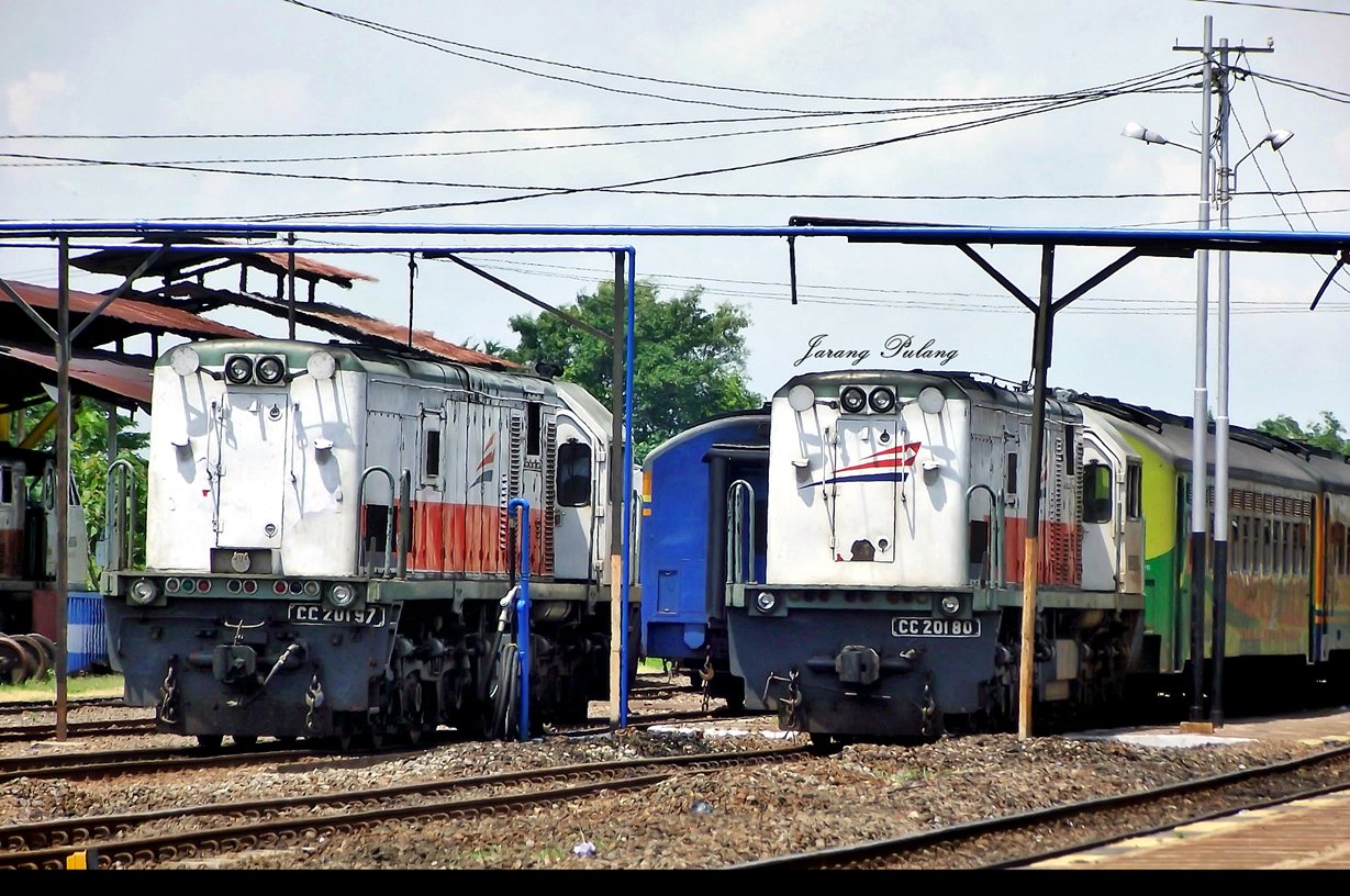 TENTANG CC 201: Jenis-jenis CC 201