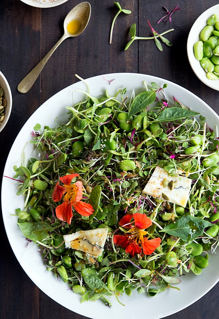 A Salad of Homegrown Microgreens - WILD GREENS & SARDINES