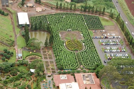 TECH HEIGHT: World famous maze