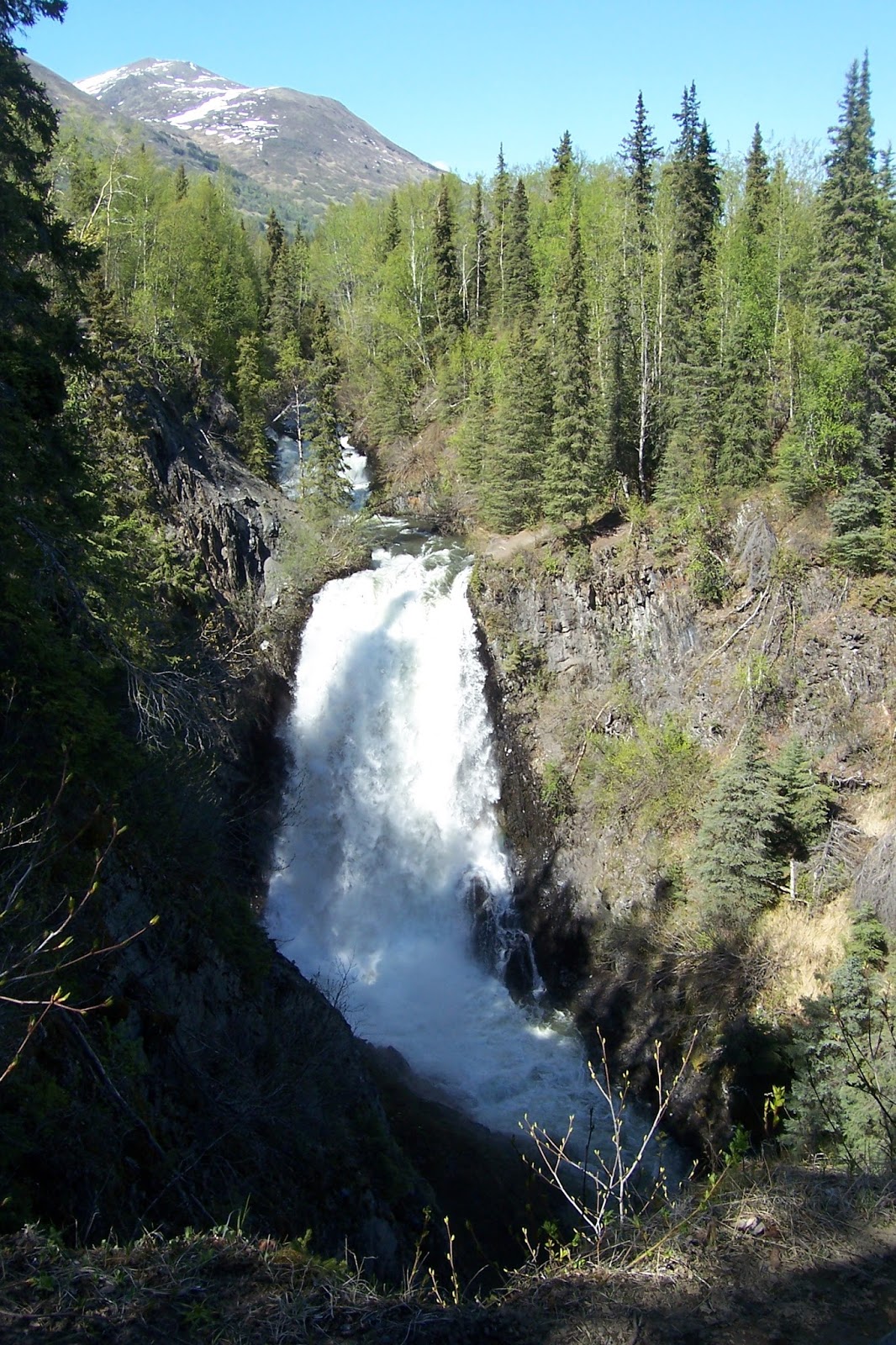 Beaver Creek Cabins & Guide Service: Resurrection Pass Trail