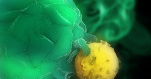 Descubren la razón principal de la primera extinción masiva de la Tierra