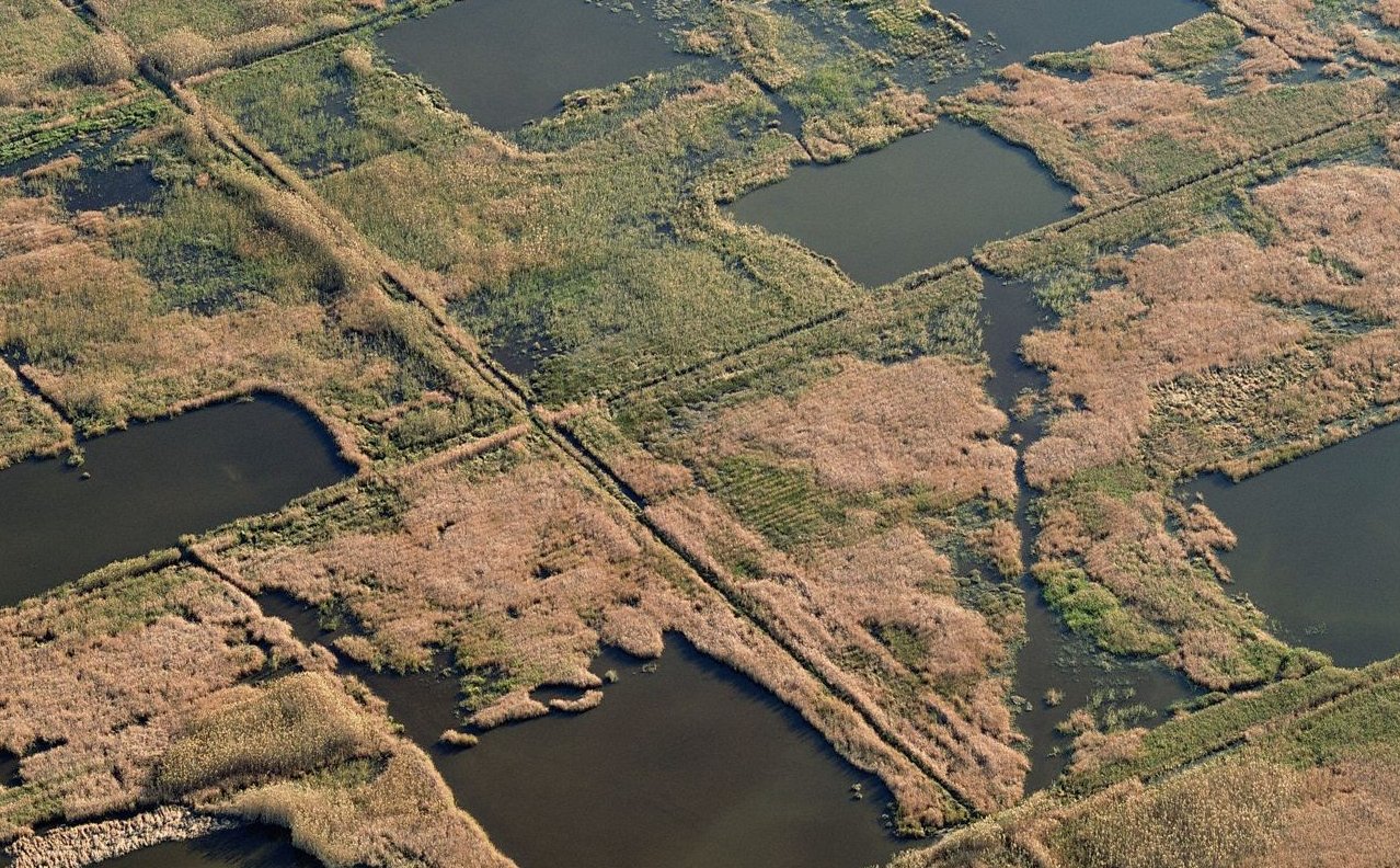 La marjal de Xeresa i l'Auir