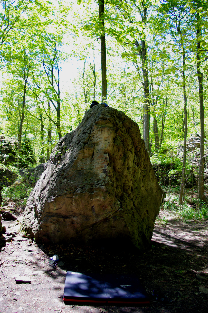 The Culture: Zao shang hao Zhong Guo...