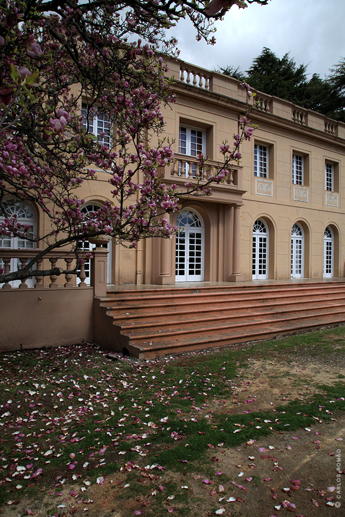 A Cidade Surpreendente: A Casa Allen