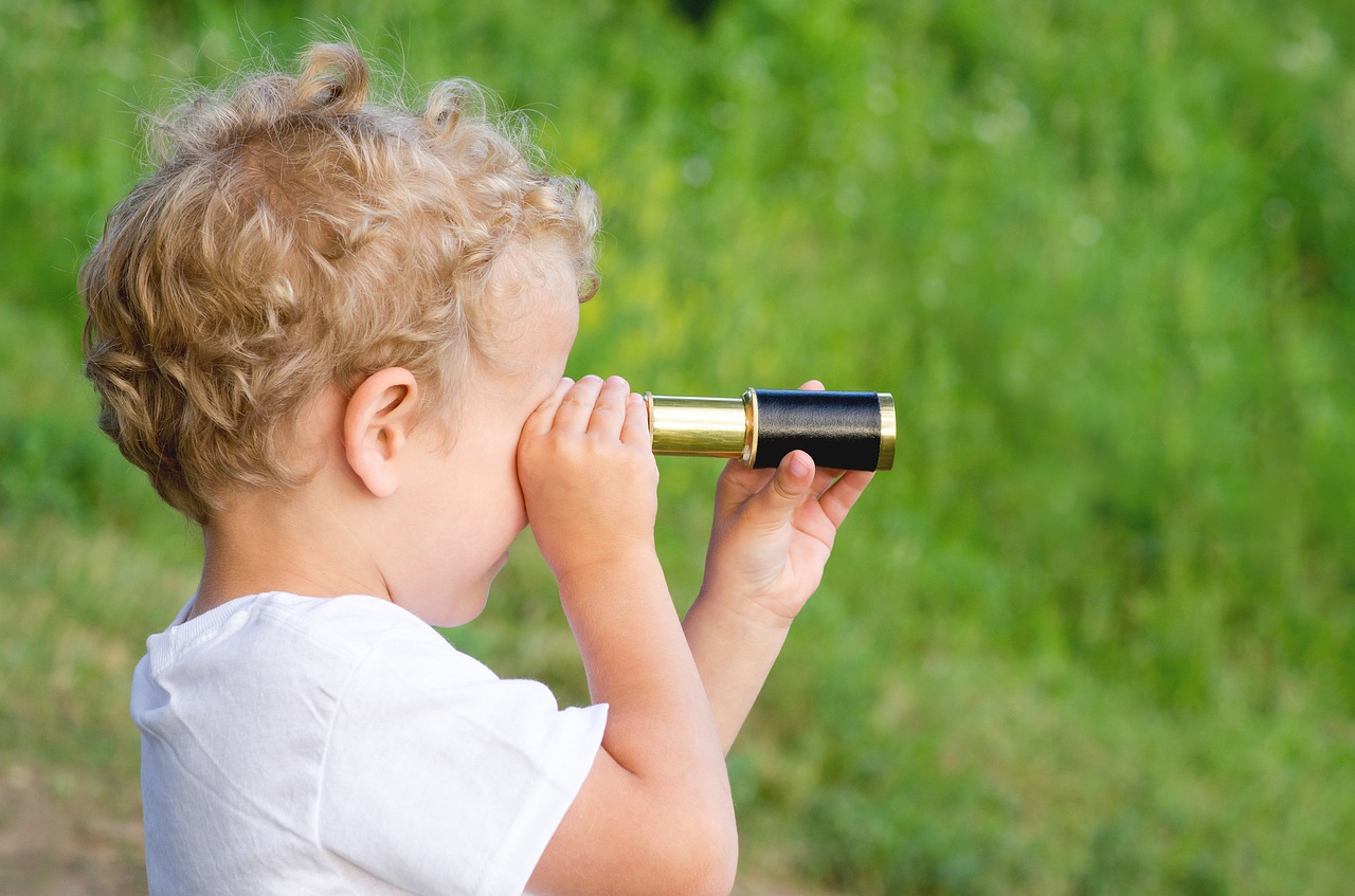 AAA State of Play Blog: 9 Reasons Why Bird-watching Benefits Children