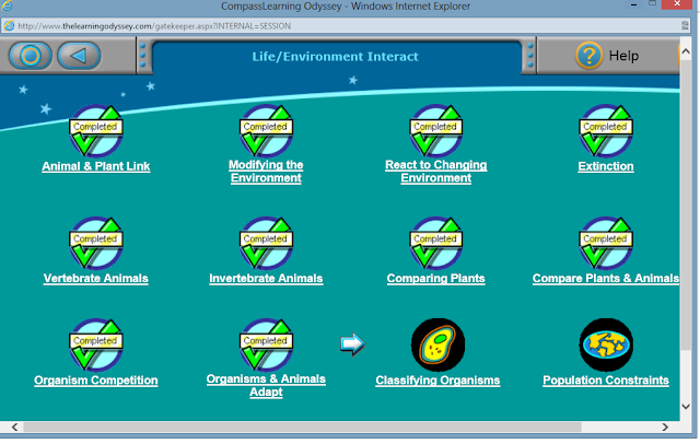 Brandi Raae: Time4Learning {Schoolhouse Review}