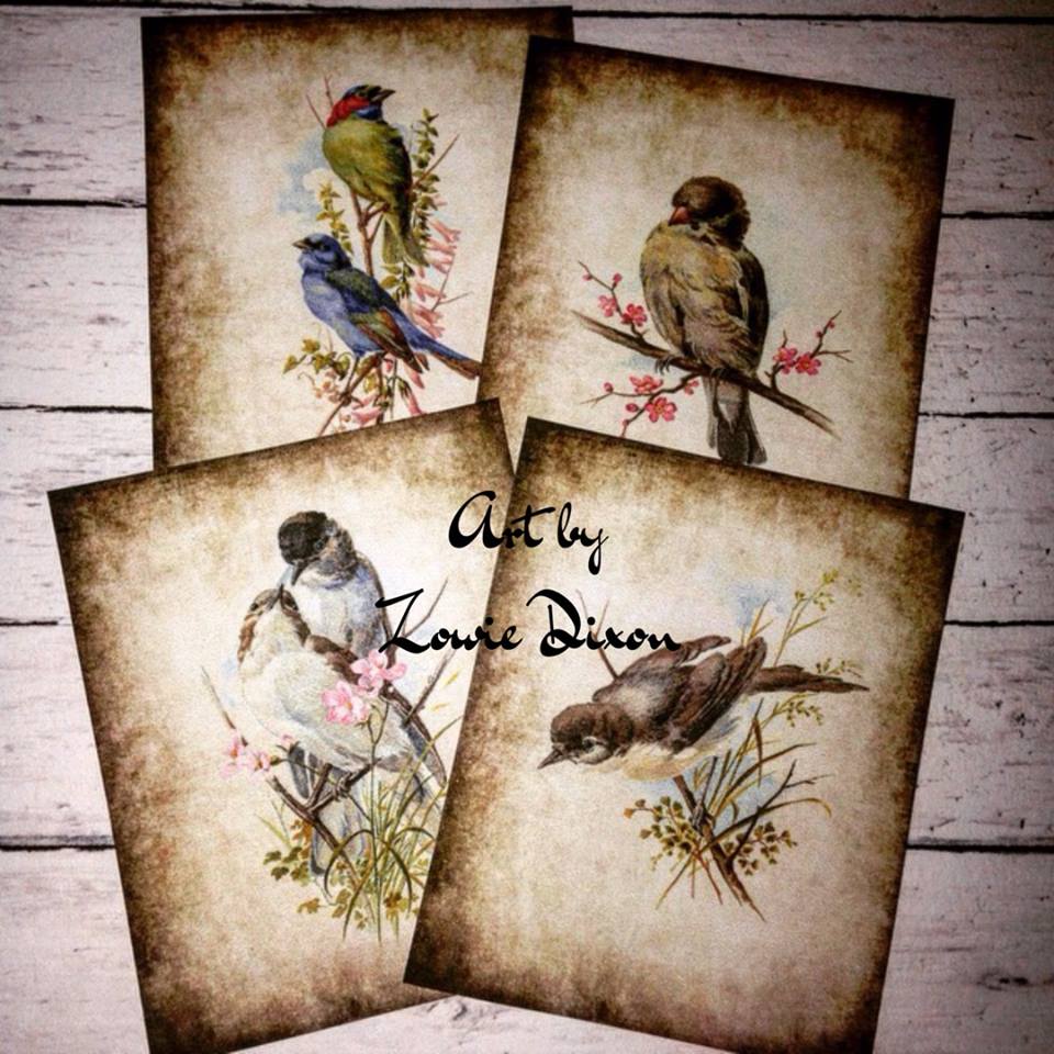 Art By Zowie Dixon : Nature pocket card