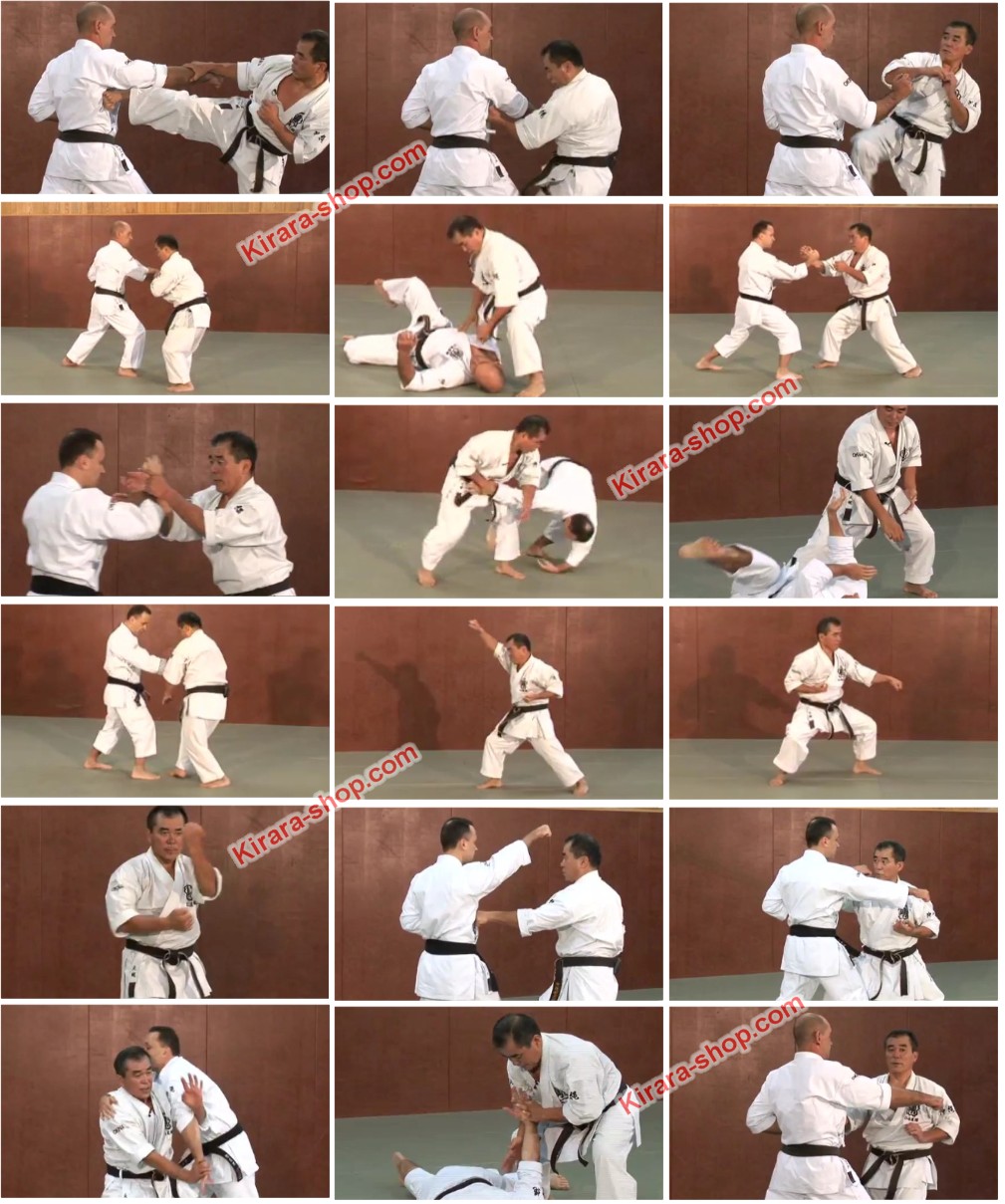 imo haircut: Goju Ryu Karate, Tehnik Karate dengan pukulan yang dashyat ...