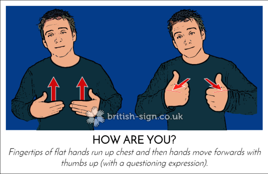 Whittaker Live British Sign Language Dictionary whittaker-live-british-sign-language-dictionary