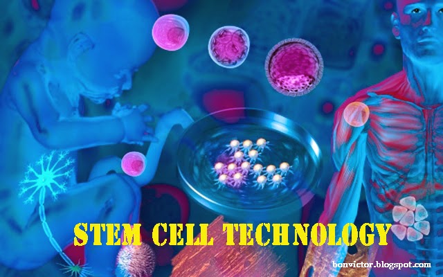 bonvictor.blogspot.com: Stem Cell Technology