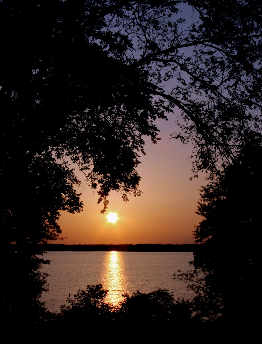 Stretching my comfort zone: Landscapes of Lamar County Texas