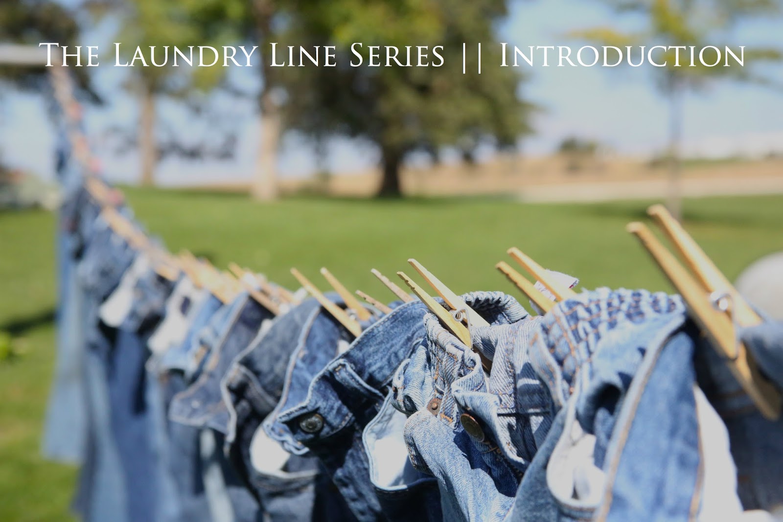 It's a Beautiful Life!: The Laundry Line Series || Introduction