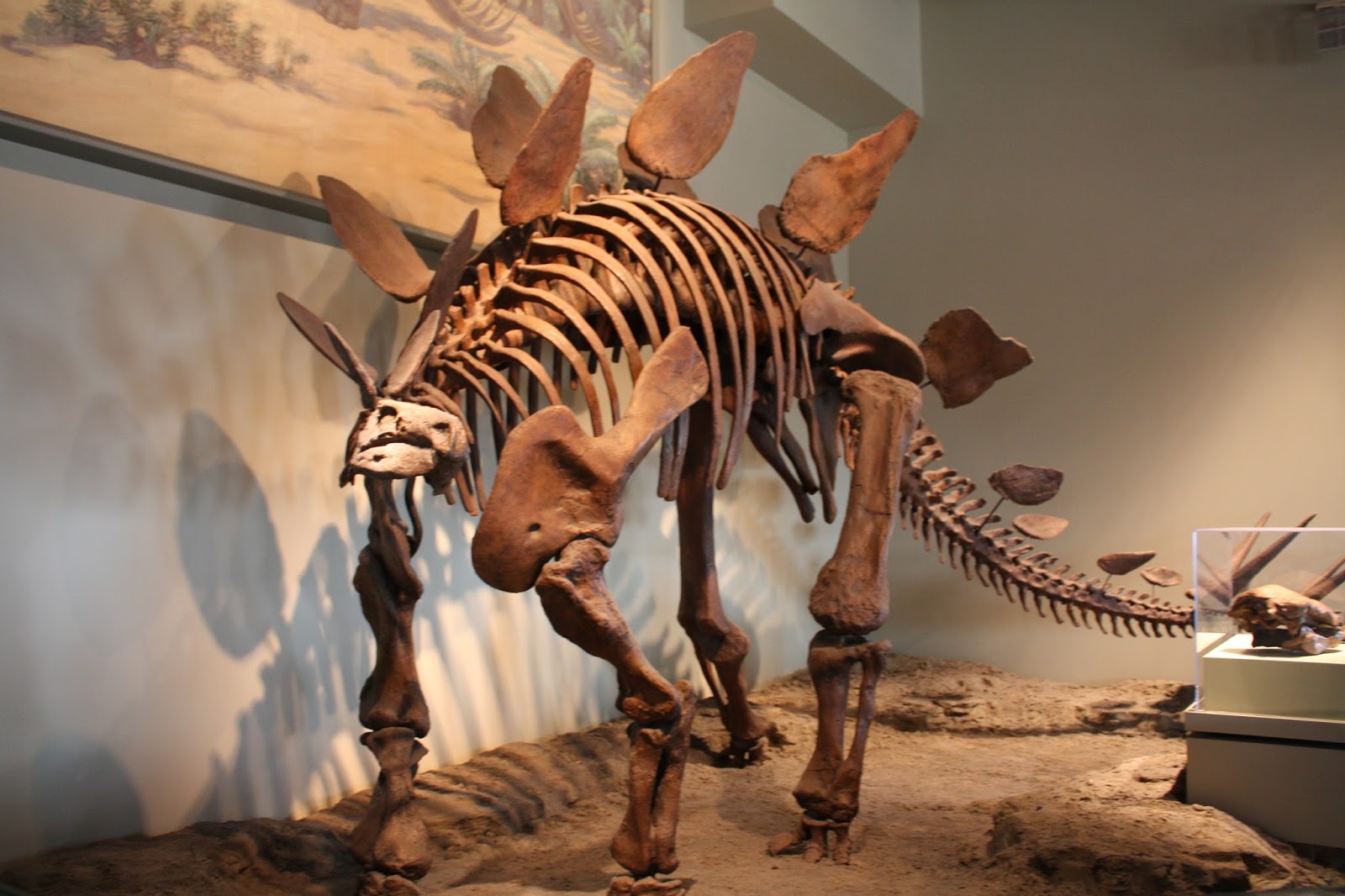 A Little Time and a Keyboard: Field Museum Exploration in Chicago