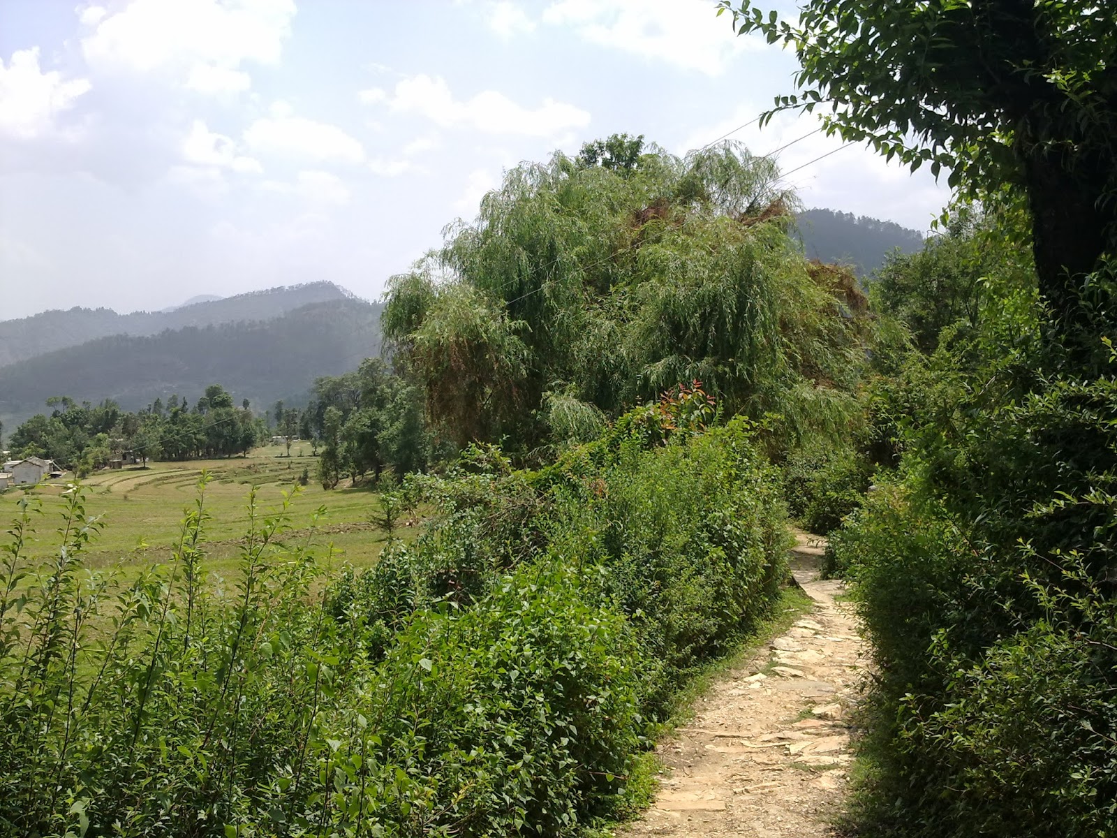 Beauty of Uttaranchal: Some ways of pahad(village kandey,Berinag ...