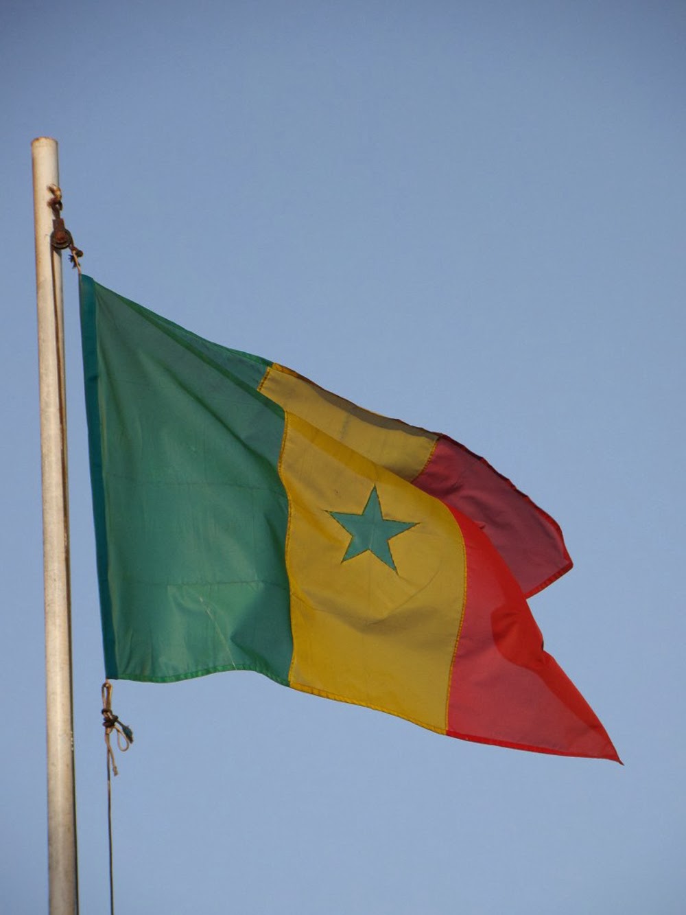Graafix!: Flag of Senegal