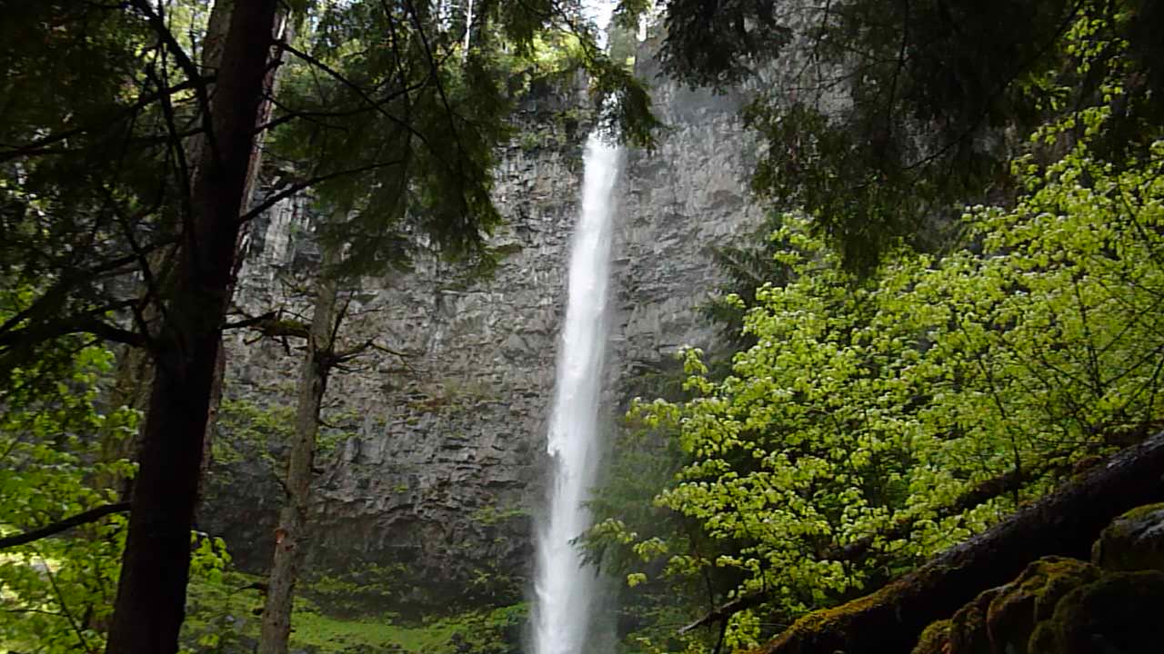 Life with Andy & Carol: Highway 138