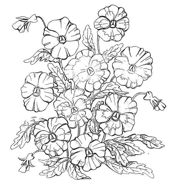 8 Free downloads anti stress coloring pages "Pansies" + color hint