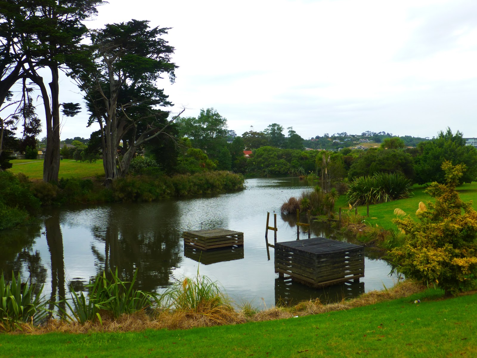 Kiwis Abroad: Auckland Walkway near Botany Town Centre