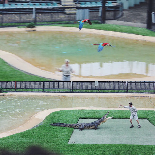 Australia.. Part one!! | Paige Ellen Gillard