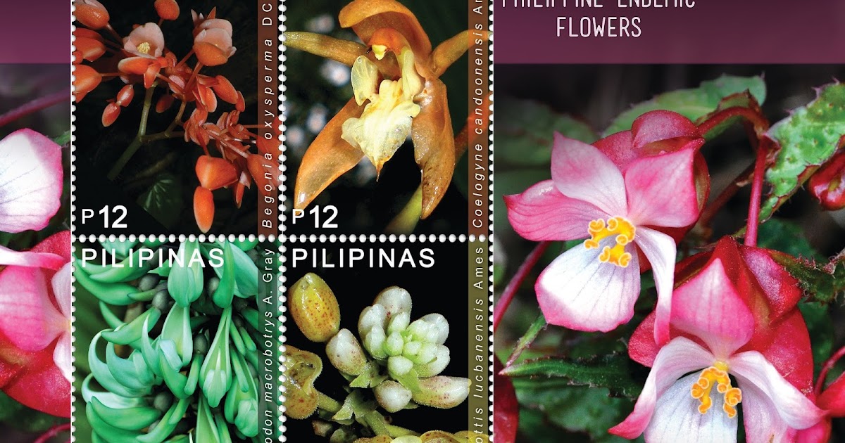 Philatelic Philippines: Philippine endemic flowers